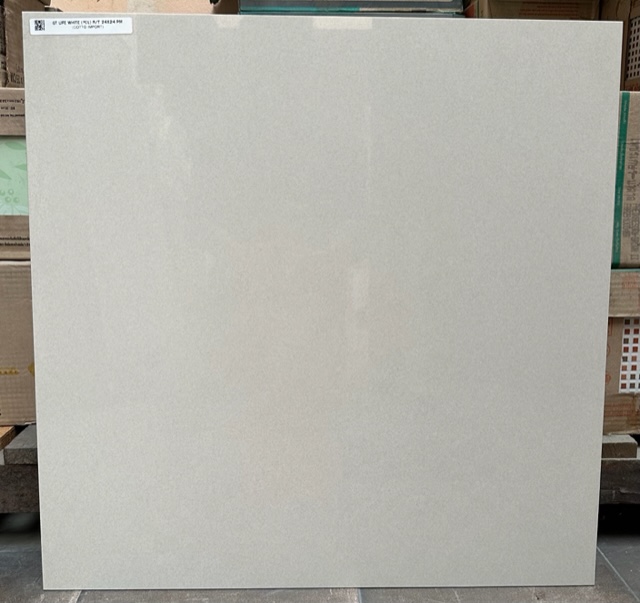 GT LIFE WHITE (POL) R/T 24x24 PM COTTO IMPORT*คลิกดูรายละเอียดเพิ่มเติมนะคะ